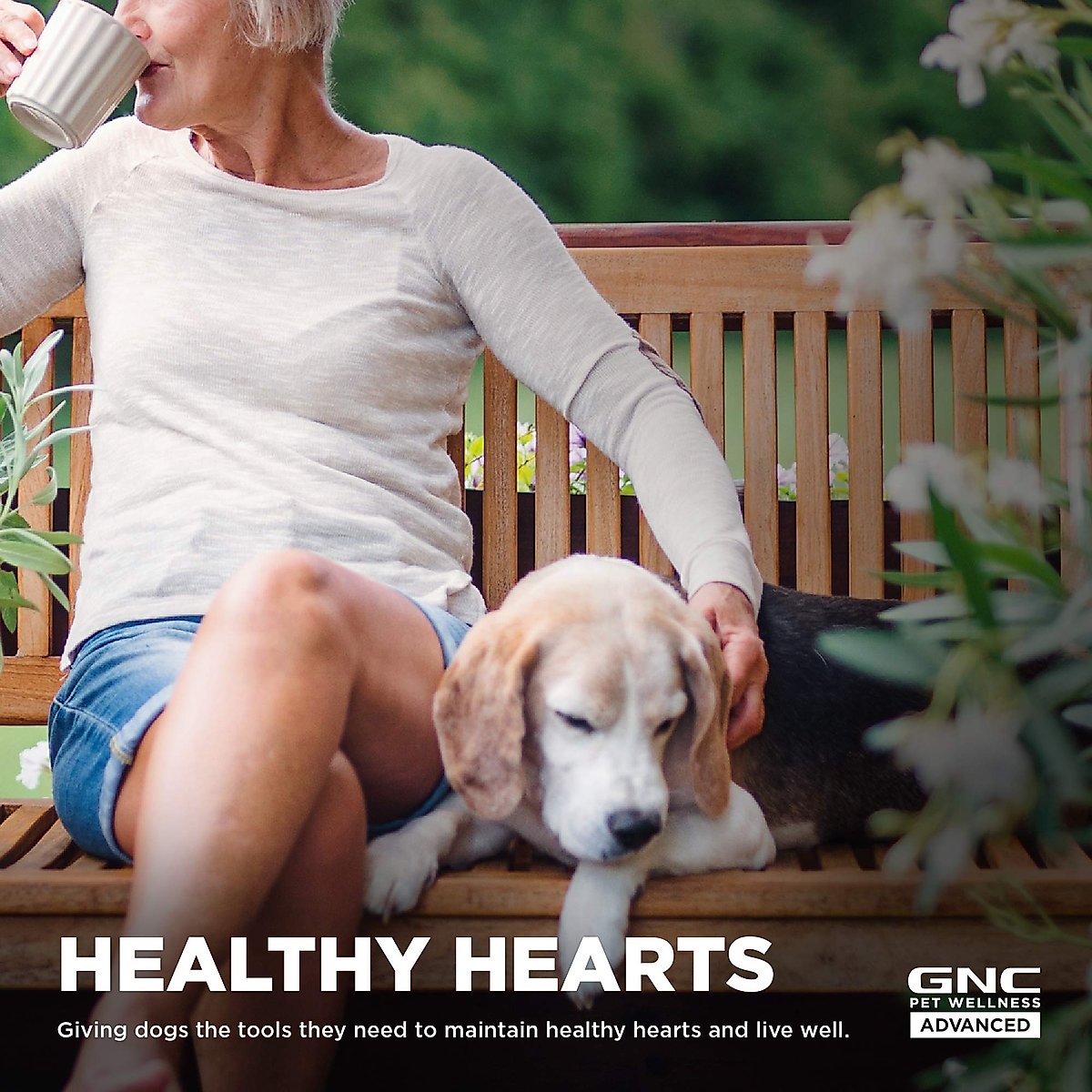 GNC Pets Advanced Dog Supplements for Cardiovascular Support| 90 Ct Soft Chew Dog Supplements for Cardio Health and Heart Health | Easy to Chew Dog Supplements, Made in The USA