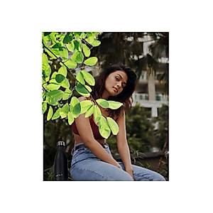 HOT-Chill Sports Water Bottle 12 oz Leak-Proof No Sweating BPA Free Reusable Vacuum Insulated Stainless Steel Water Bottles Double walled Coffee Thermos for women and Men Workout buddy. (Black)