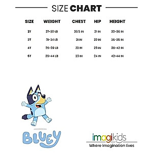 Bluey Bingo Toddler Boys Fleece Pullover Hoodie and Sweatshirt Blue/White 5T