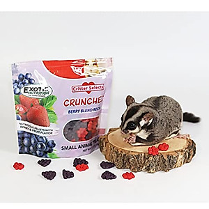 Crunchez Berry Blend - Crunchy Fruit Flavored Treat Bites - Sugar Gliders, Squirrels, Marmosets, Prairie Dogs, Hamsters, Chinchillas, Exotic Birds, Rabbits, Guinea Pigs, Degus, Small Pets… (2.5 oz.)