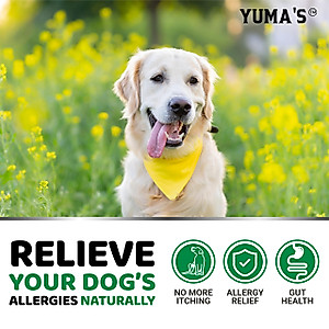 YUMA'S Dog Allergy Relief Chews - Dog Itching Skin Relief Treatment Pills - 170 Treats - Anti-Itch for Dogs - Itchy and Paw Licking - Dry Skin & Hot Spots - Omega 3 Fish Oil - Skin & Coat Supplement