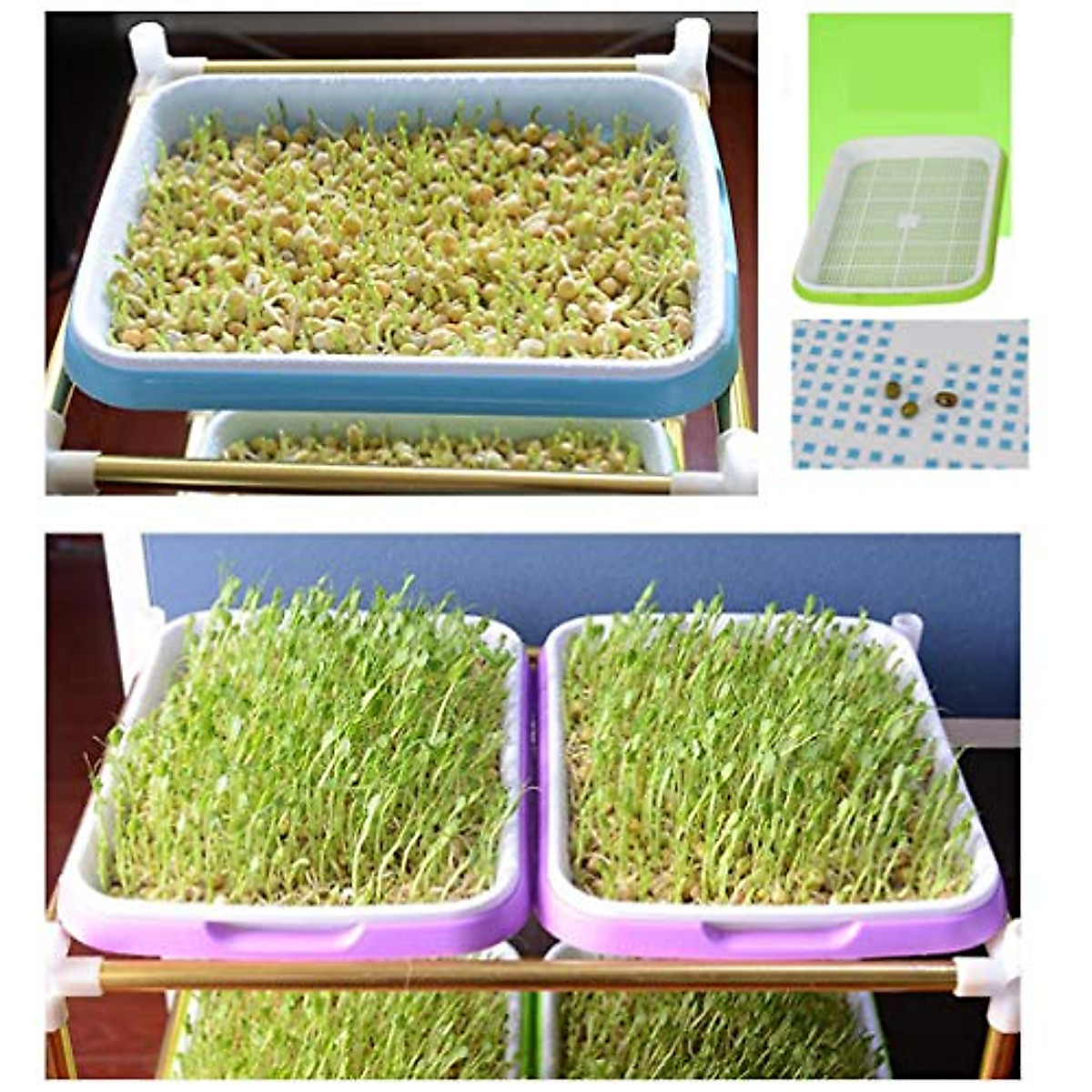 Happyyami Seed Growing Tray Multifunctional Broccoli Wheatgrass Alfalfa Seed Sprouting Soilless Culture Tray Double Layer Germination Planter with Paper for Home Sky Blue