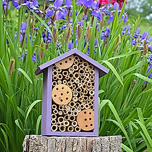 Nature's Way Bird Products PWH1-B Purple Bee House