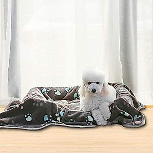 Allisandro 350 GSM-Super Soft and Premium Fuzzy Flannel Fleece Pet Dog Blanket, The Cute Print Design Washable Fluffy Blanket for Puppy Cat Kitten Indoor or Outdoor, Grey, 40 x 32 Inches