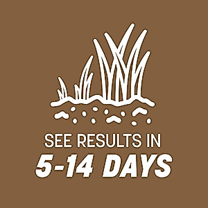 Pennington Bare Spot Repair Penkoted Grass Seed Mixture Central 1 lb