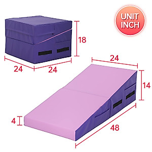 Gymnastics Mat 48”X24”X14” Incline Tumbling Mats for Home Gym, Folding Exercise Mat with Non-Slip PVC Surface & Handles, Cheese Wedge Mat for Kid Adults Workout, Pink