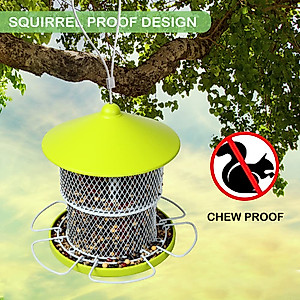 Metal Bird Feeder Clearance,Hanging Bird Feeders for Outside Wild Birds, Squirrel Poorf, Heavy Duty,6 Perches, 4 lbs Capacity for Cardinals, Finches, Blue Jays-Silver Green