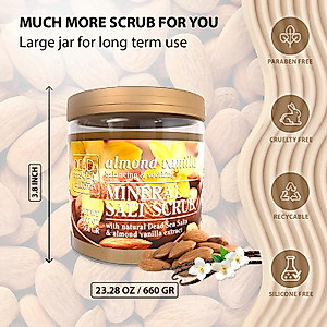Dead Sea Collection Almond Vanilla Salt Scrub – Exfoliating Body Scrub for Women – Moisturizing and Nourishing Skin – with Pure Oils and Dead Sea Minerals (23.28 Oz)