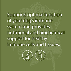 Standard Process Canine Immune System Support - Immune Support Supplement for Dogs - Powder Canine Supplement Aids Overall Health & Wellness - Immunity Support Supplement with Zinc & Kelp - 30 g