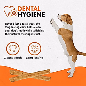 Canine Naturals Beef Chew - Rawhide Free Dog Treats - Made With Real Beef - Poultry Free Recipe - All-Natural and Easily Digestible - 10 Pack of 5 Inch Stick Chews