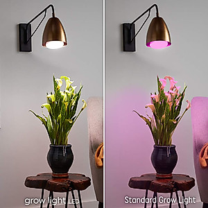 GE Lighting Grow Light for Plants, LED Light Bulb for Seeds and Greens with Balanced Light Spectrum, BR30 Floodlight (2 Pack)