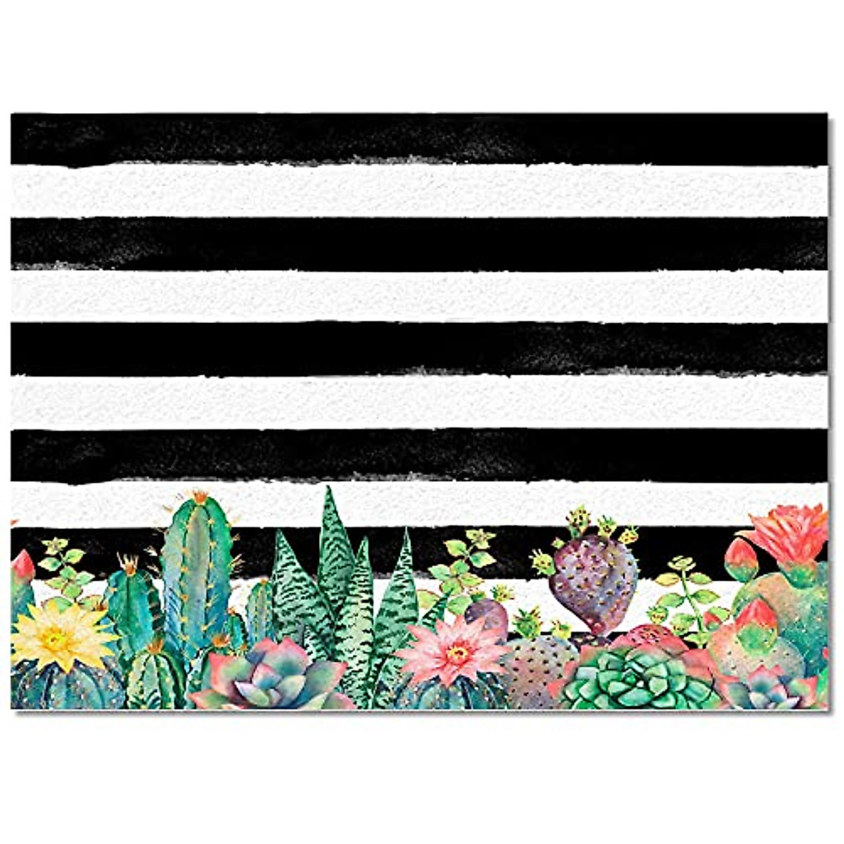Olivefox 3x5 Feet Floor Mat Area Rug, Cactus Watercolor Black and White Stripes Runner Indoor Carpet, Non Skid Rug Accent for Living Room, Hallway, Kitchen, Office HSM-2021-5-13-JJXT-SHZF02827MDKAOLX