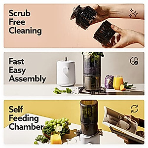 Hurom H310A Renewed Personal, Self Feeding Slow Masticating Juicer - Charcoal Gray | Easy-Clean, Max Yield, Quiet Motor - Hopper Fits Whole Produce - BPA Free