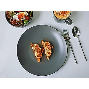 Famiware Dinnerware Set, 16 Piece Dishes Set, Plates and Bowls Set for 4, Gray Matte…