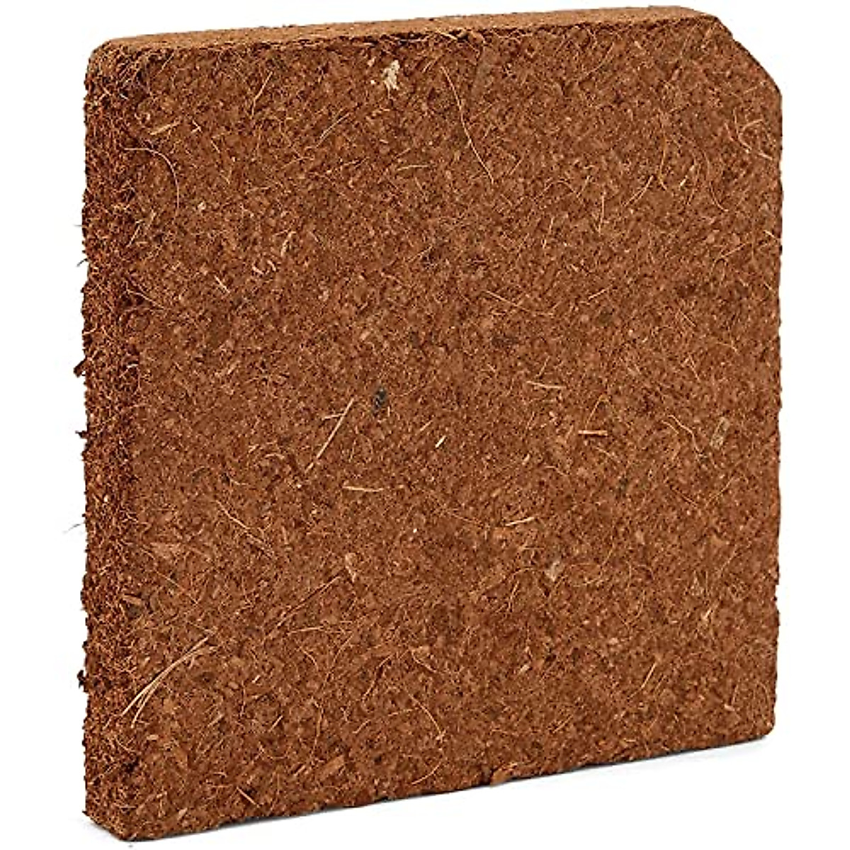 12 Pack Compressed Coco Coir Seed Starter, 0.55lb Soil Brick for Gardening