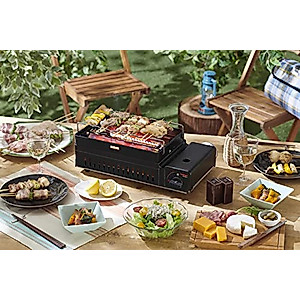 Iwatani Portable Gas Grill BBQ Stove ABURIYA2 CB-ABR-2