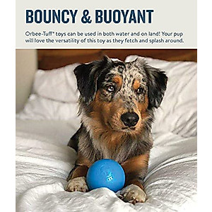 Outward Hound Orbee-Tuff Squeak Ball Blue Dog Fetch Toy