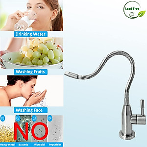 2024 Update Kitchen Water Filter Faucet with Flexible Gooseneck, Lead-Free Drinking Water Faucet Safety for Water Filtration Systems or Reverse Osmosis Systems, Stainless Steel Beverage Faucet