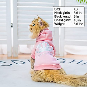 EXPAWLORER Prinecss Dog Hoodie for Girl - Hooded Dog Sweater with Leash Hole, Dog Cold Weather Clothes,Sweatshirt with Pocket, Pet Warm Outfit, Winter Coats for XS-XXL Dogs