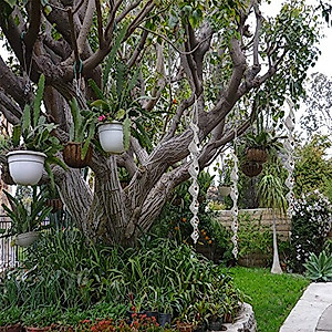 Haierc Bird Repellent Reflective Scare Rods Hanging Ornamental Spiral Rods-Keep Birds Woodpecker Away-8/12 Inch