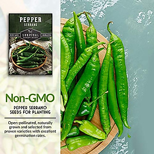 Survival Garden Seeds - Serrano Pepper Seed for Planting - Packet with Instructions to Plant and Grow Spicy Mexican Peppers in Your Home Vegetable Garden - Non-GMO Heirloom Variety