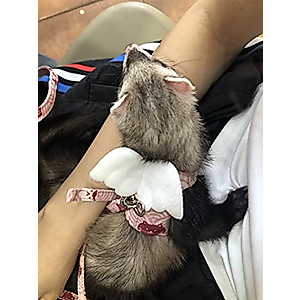 Ferret Harness and Leash - Soft Mesh Small Pet Harness with Wings and Safe Bell, No Pull Comfort Padded Vest for Ferret, Guinea Pigs, Chinchilla and Similar Small Animals (3 Pack)