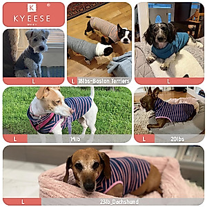 KYEESE 2Pack Dog Sweater Soft Dog Clothes Warm Dachshund Clothes Turtleneck Dog Coats Dog Sweaters for Small Dogs Girl Pullover Small Dog Sweaters Stretchy Dog Sweatshirt