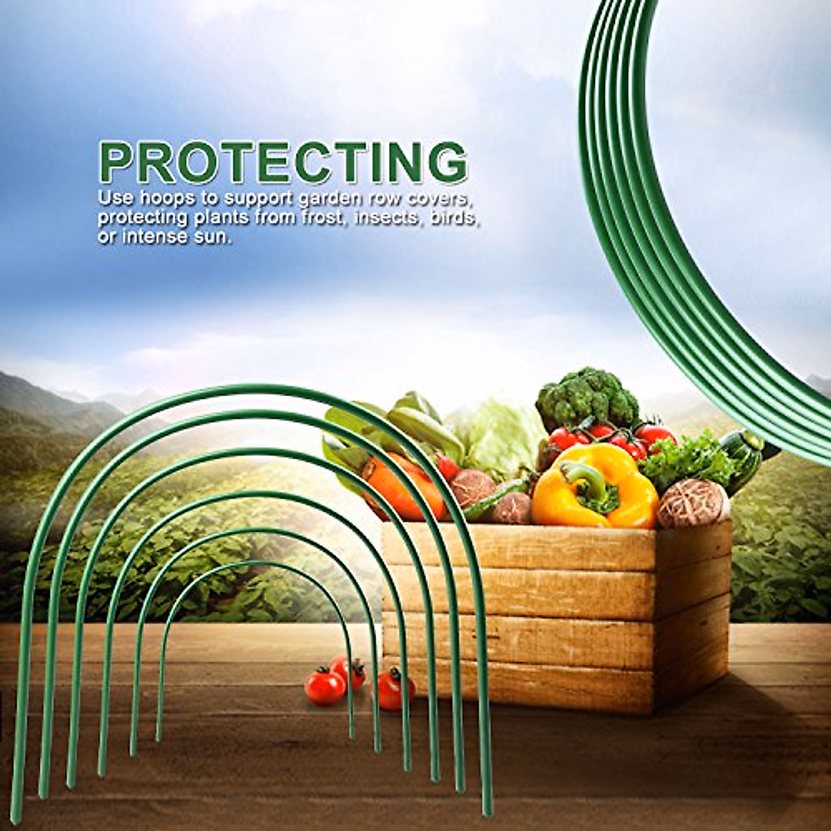 Takefuns 6Pack Plant Cover Support,Tall Garden Fabric Support Frame,Greenhouse Hoops,Plant Grow Tunnel,Garden Hoop for Garden Stakes -4ft Long Steel