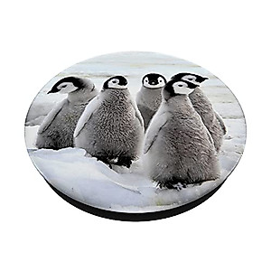 Penguin Cute Animal PopSockets Standard PopGrip