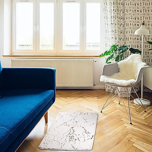 Flixsonic Bathroom mat Luxurious Ultra Soft Non-Slip Absorbent Quick Dry ，Machine Washable Shower Rug, Perfect mat for Bathroom,Kitchen, and Bedroom Decor (19.7 x 31.5 Inch, White)