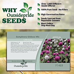 Outsidepride Globe Amaranth Gomphrena Globosa Garden Cut Flower Seed Mix - 1000 Seeds