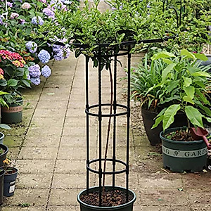 Vertical Metal Garden Trellis, Trellis for Climbing Plants, Flower Trellis, Umbrella Trellis, Garden Trellis Climbing Plants Support for Vines Tomatoes Peas Other Live Plants Support