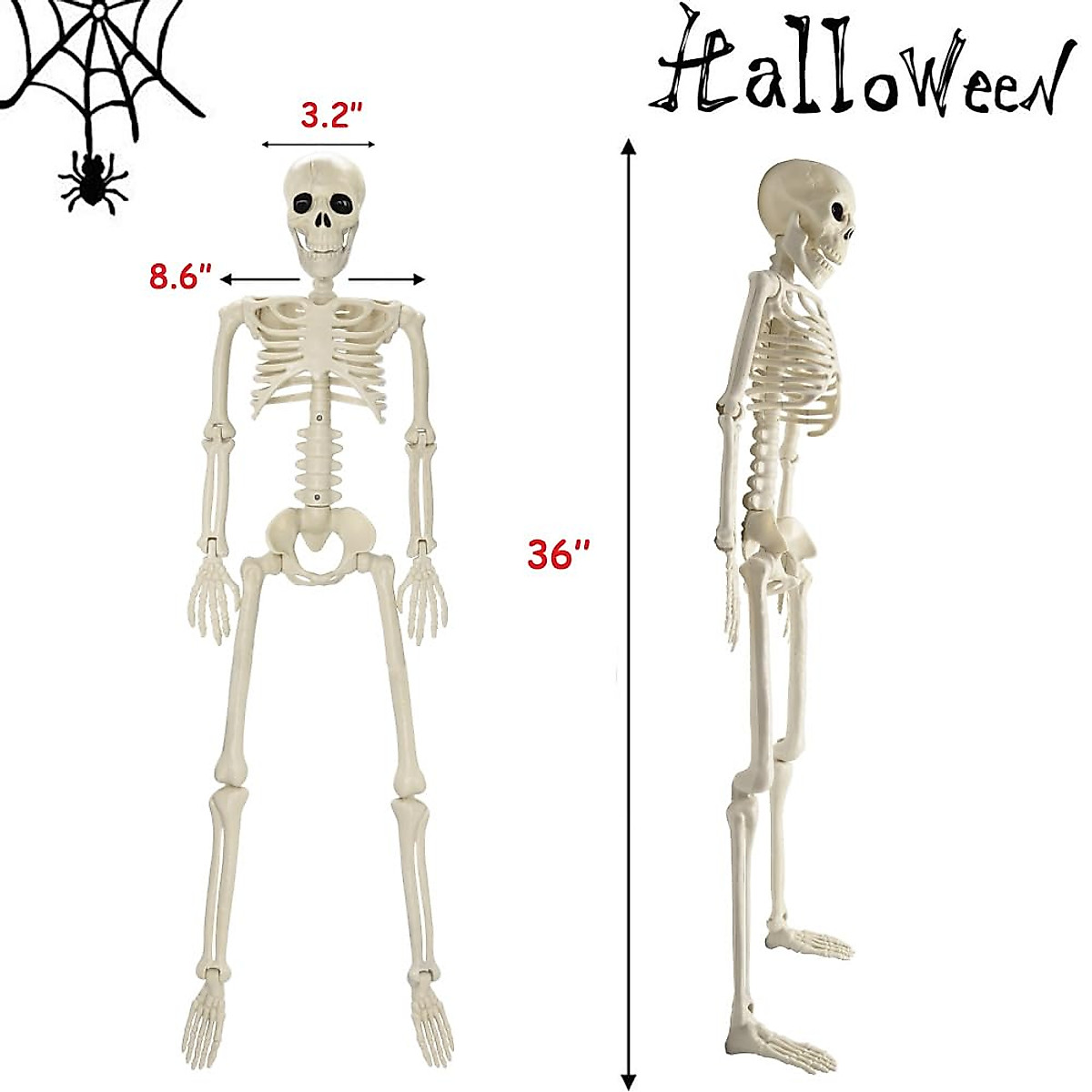 Realistic 36-Inch Skeleton Halloween Decoration for Haunted Houses