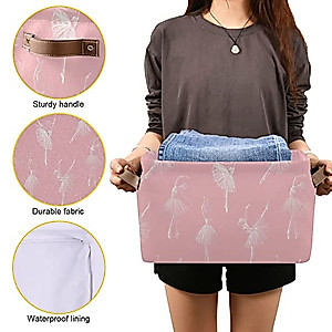 ALAZA Ballerinas Pink Foldable Storage Box Storage Basket Organizer Bins with Handles for Shelf Closet Living Room Bedroom Home Office 1 Pack