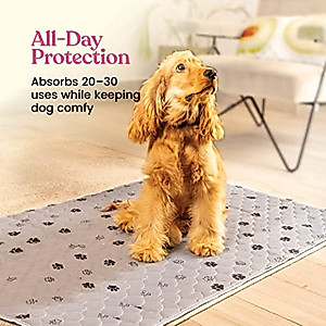Super Absorbent Washable Pee Pads for Dogs - 2-Pack Superior Reusable Puppy Pads Pet Training Pads –100% Waterproof Dog Pee Pad Protects Against Urine Leakage Non-Slip Grip Prevents Slipping& Bunching