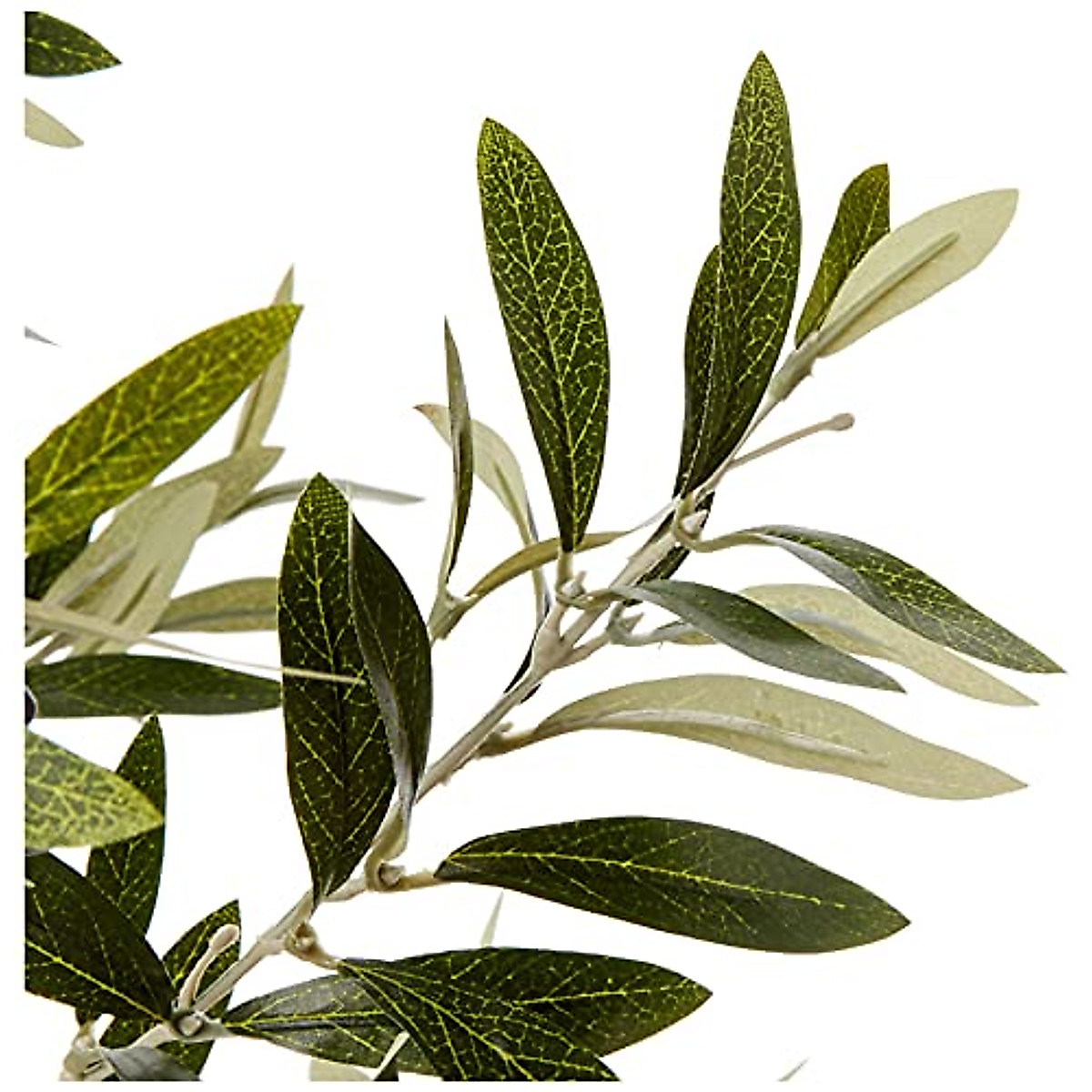 Amazon Brand - Stone & Beam Artificial Olive Tree Topiary with Faux Terracotta Pot, 2.4 Feet (28.8 Inches), Indoor