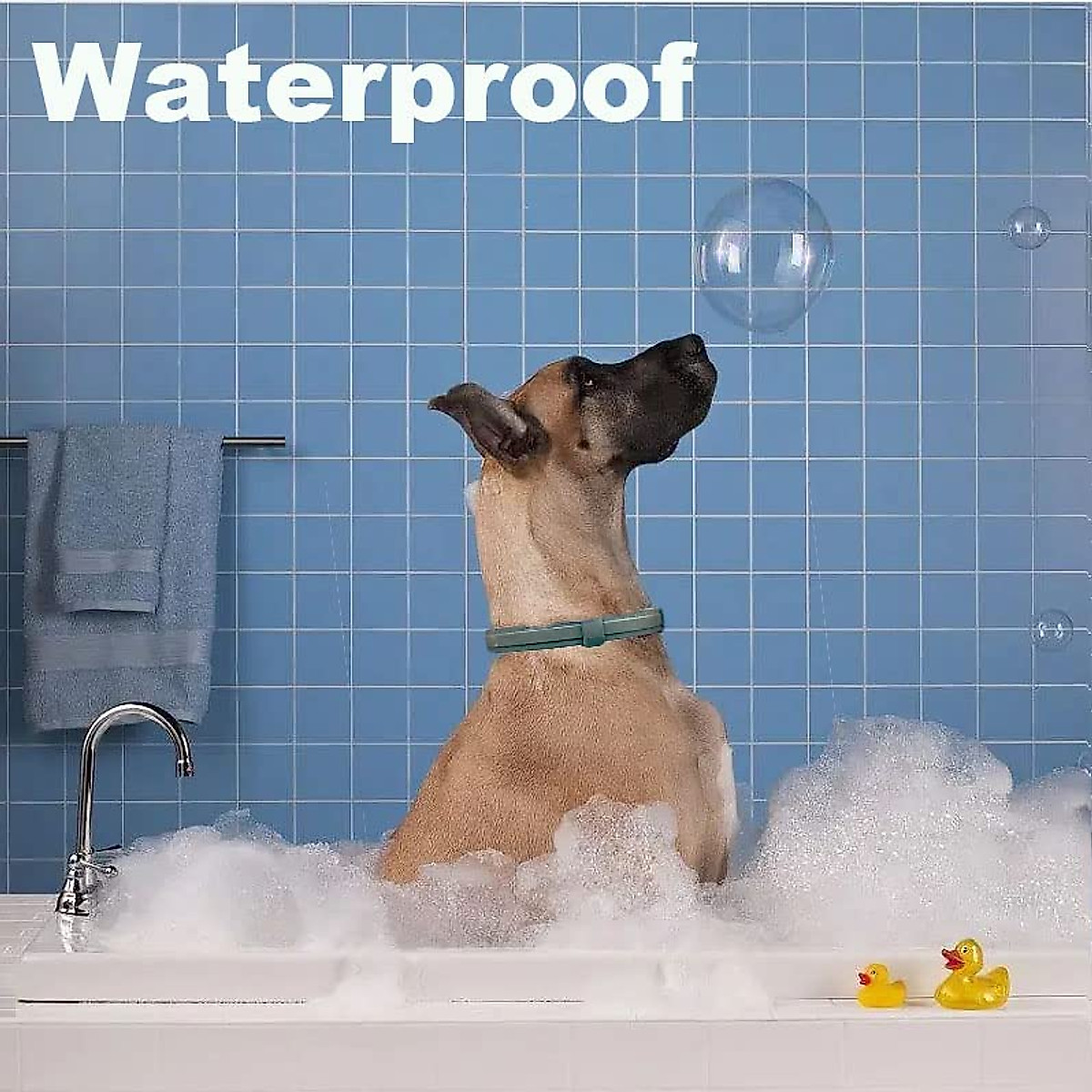 Natural Ingredients Flea Collar for Small Dogs,Safe and Effective Flea and Tick Collar, Waterproof,8 Months Protection Each Collar,Free Comb and Tick Scoop,13.8 Inches,2-Pack