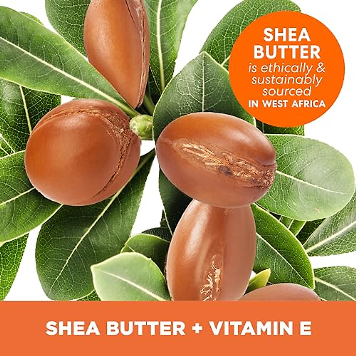 Palmer’s Shea Butter Formula Raw African Shea Butter Balm, Nourishing Body Moisturizer for Rough, Dry Skin, 7.25 Ounces