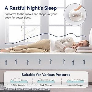 Amazon Basics Memory Foam Mattress, Medium Firm, 12 Inch, Queen, White/Grey