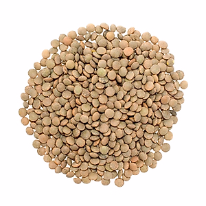 Small Brown Dry Lentils | 5 LBS Plastic Free Packaging | Family Farmed in Washington State | 100% Desiccant Free | Non-GMO | 100% Non-Irradiated | Kosher | Field Traced | Burlap Bag