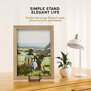 IPAME 4 Pack 8 Inch Large Plate Stands for Display - Metal Square Wire Plate Holder Display Stand + Picture Stand for Book, Platter, Plaque, Photo Easel