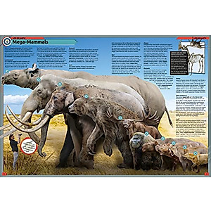 Guinness World Records 2023