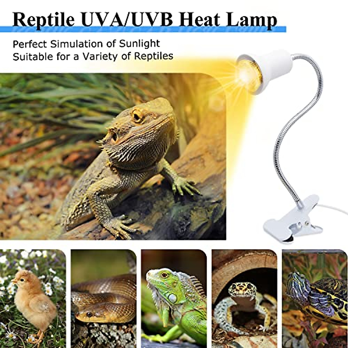 Turtle Heat Lamps,Small Heat Lamp for Turtle Tank,Turtle Light with 10mm Thick Gooseneck,360° Rotatable Heat Lamp with Clamp,Reptile Light for Bearded Dragon/Turtle/Lizard,1PC (No Bulb)