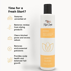 I Belli Capelli Venice B-tox Organic Kit - Organic Treatment 500g/17.60 oz + Deep Cleansing Shampoo 300ml/10.1 fl.oz