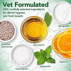 Vet’s Best Dog Toothpaste, Teeth Cleaning and Fresh Breath Dental Care Gel Kit