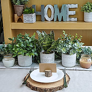 Set of 3 Small Potted Plants Faux Eucalyptus Plants and Tropical Snake Plant in Geometric Gray Pots for Modern Bathroom Office Table Shelf Windowsill Home Indoor Outdoor Green Décor