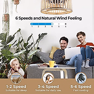 Flanagan 20 inch Boho Ceiling Fan with Lights, Modern Enclosed Design, Caged Fan, Remote Control, for Living Room, Bedroom, Kitchen