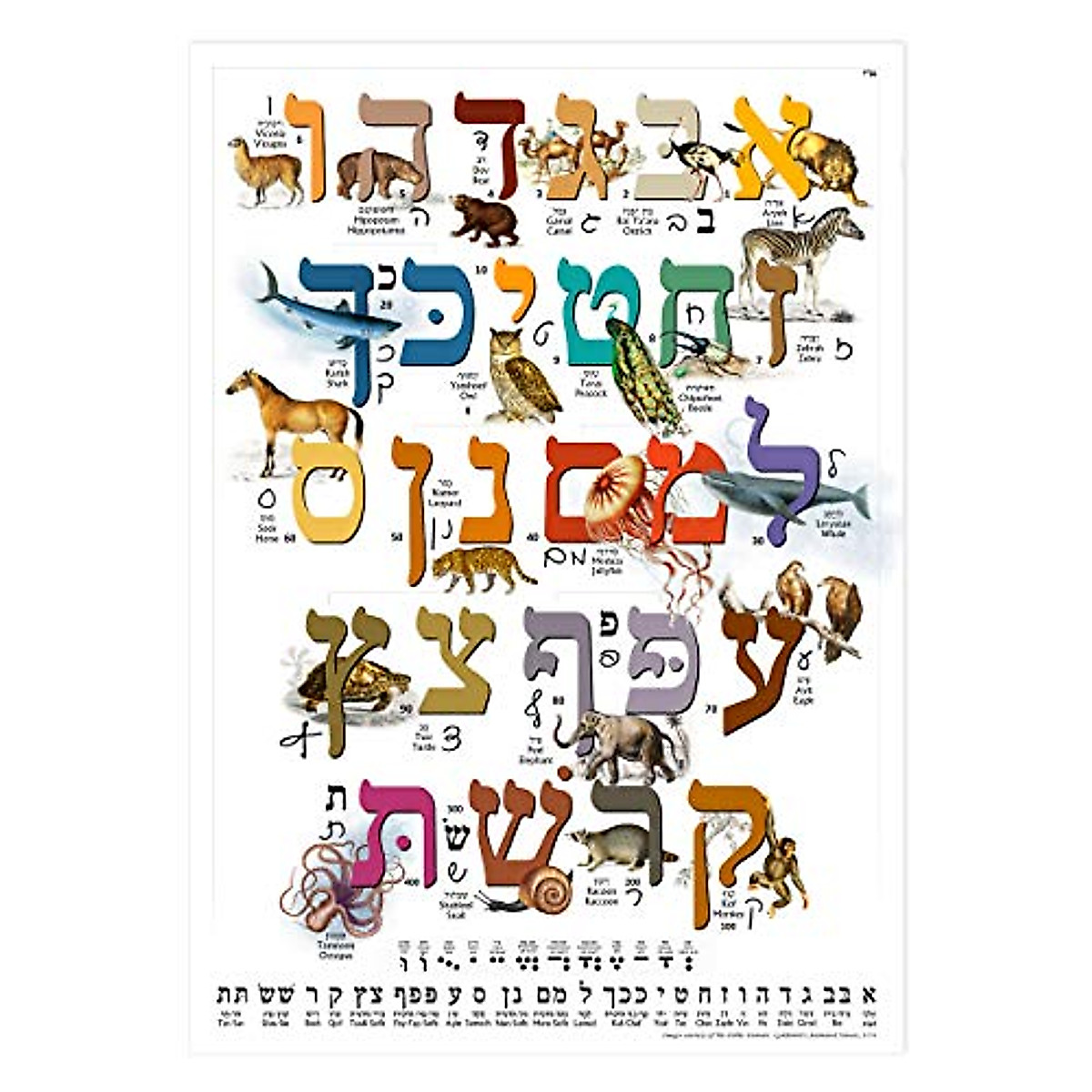 Hebrew Aleph Bet (Alef Bet) Animal Poster/Chart for Children with Print & Cursive Hebrew Alphabet (A3 11.7 x 16.5 in) Perfect for Hebrew Language Learner Beginners