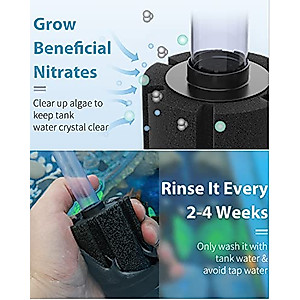 Pawfly Mini Aquarium Air Pump 15 GPH Quiet Oxygen Aerator Pump with Bracket Airline Tubing Bio Sponge Filter Air Stone Control Valve and Check Valve for 3-20 Gallon Nano Fish Tanks and Buckets