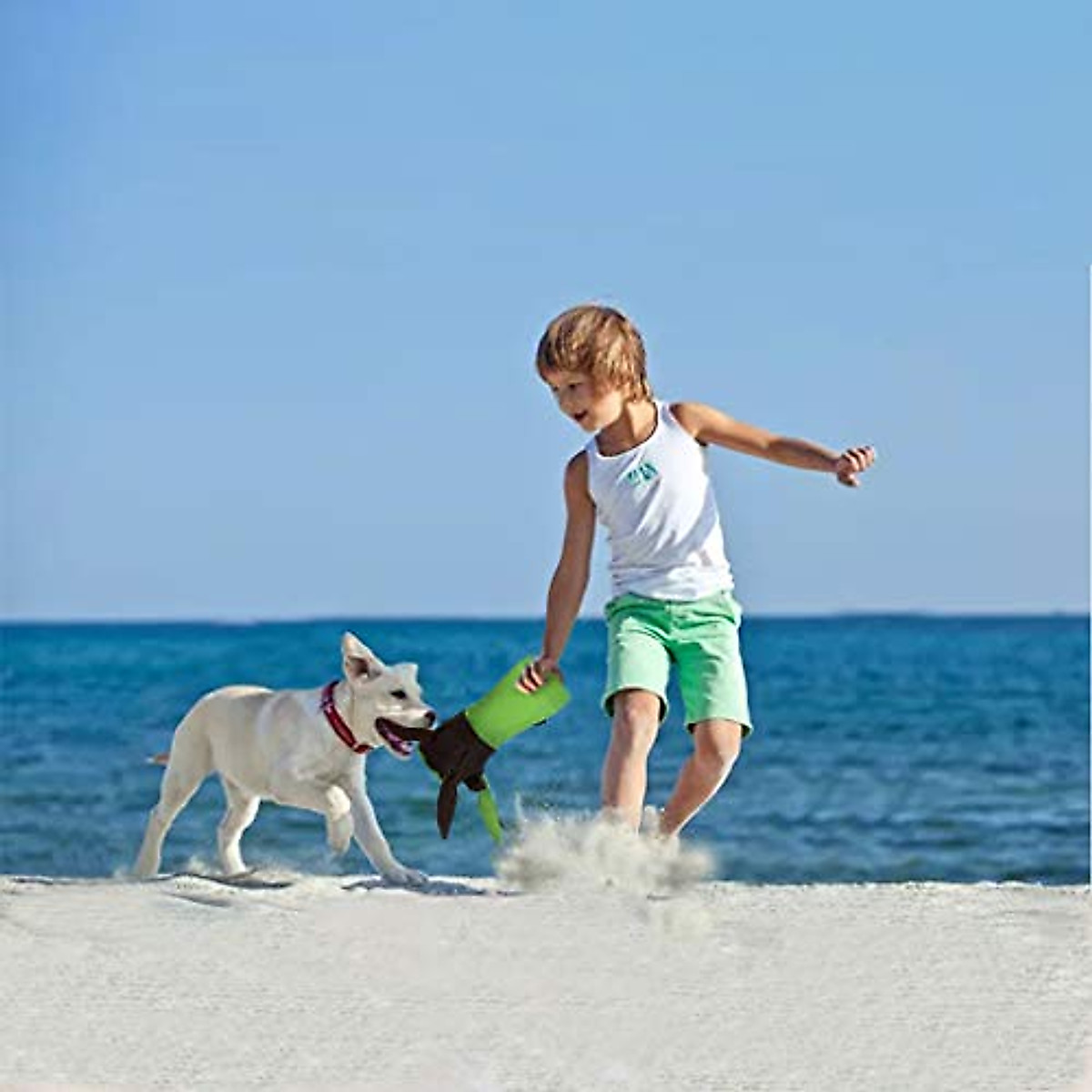 Auland Puppy Puzzle Toys, Puppy Toys for Improving Dog' s IQ, Squeaky Puppy Puzzle for Dogs,Interactive Dog Toys for Boredom and Snuffling (Octopus)